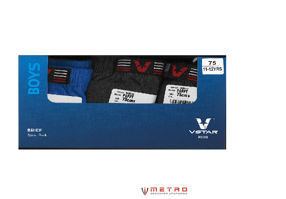 INNERWEAR-POPPY-BRIEF-3PS-VSTAR-BOYS